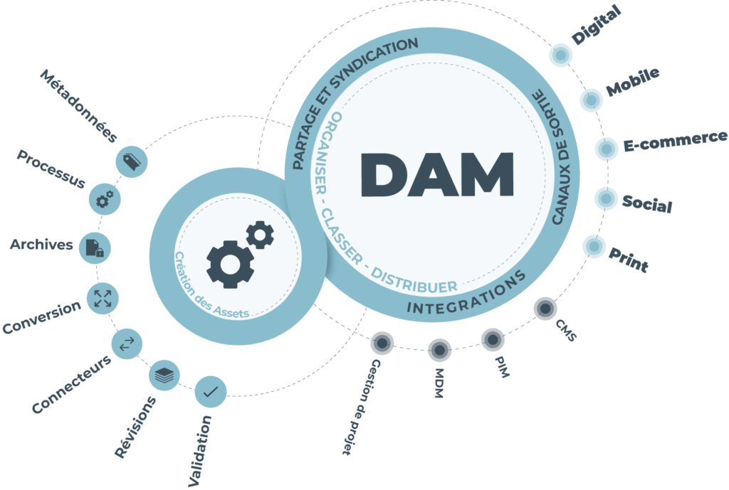 DAM : Tout savoir sur la gestion des ressources numériques